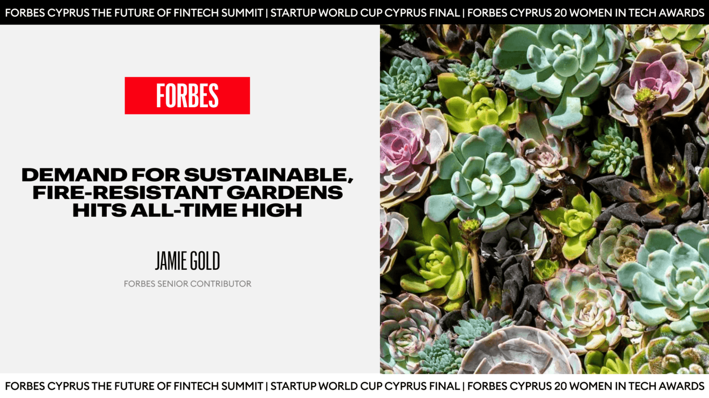 Demand For Sustainable, Fire-Resistant Gardens Hits All-Time High - The ...